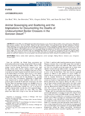 Janek Haiti'S Restavec Slave Children Difficult Choices, Difficult ...