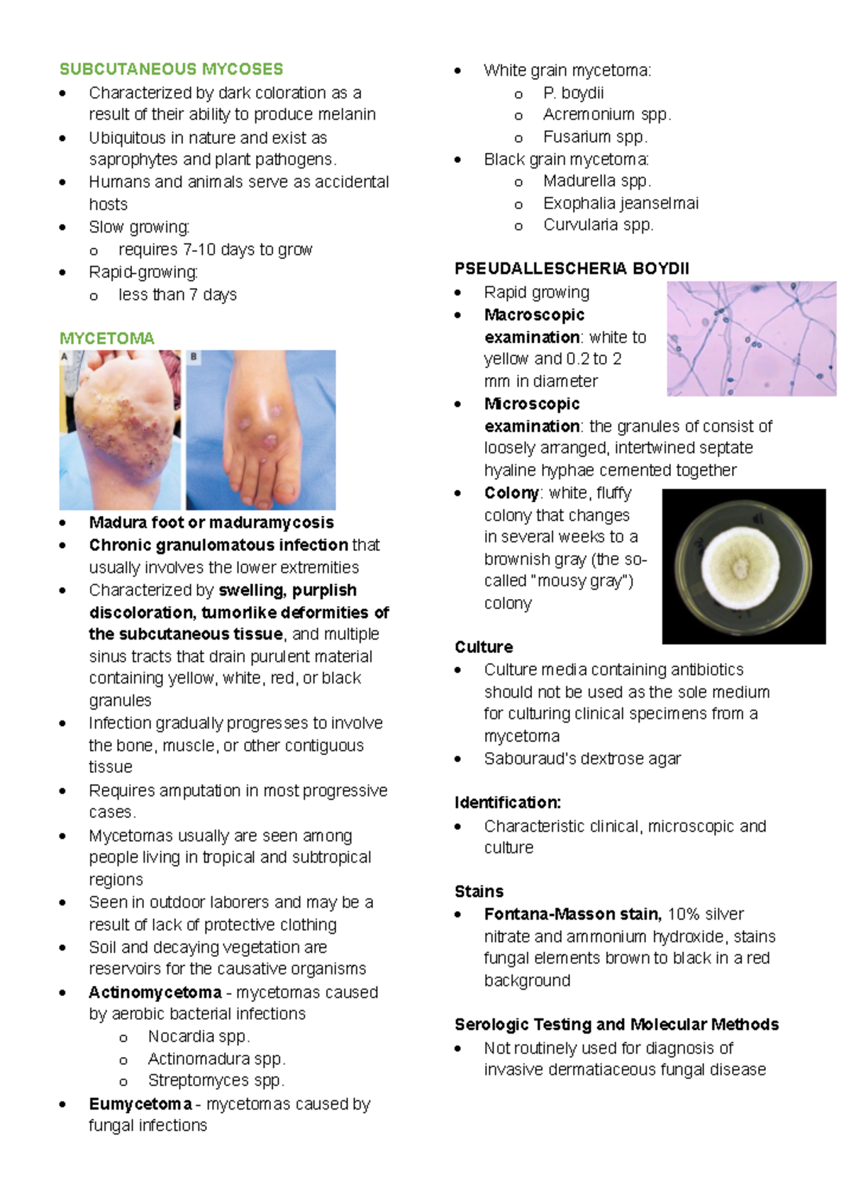 Subcutaneous Mycoses - SUBCUTANEOUS MYCOSES Characterized by dark coloration as a result of ...