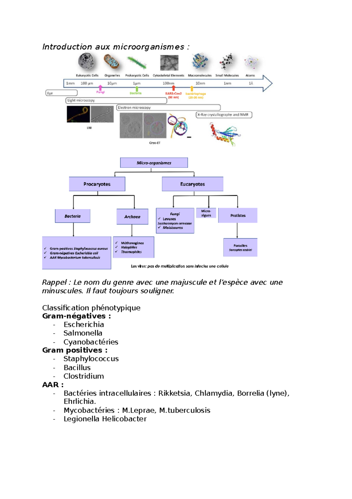 Microbiologie 1 (imp) - Cours retravaillés - Introduction aux microorganismes : Rappel : Le nom ...