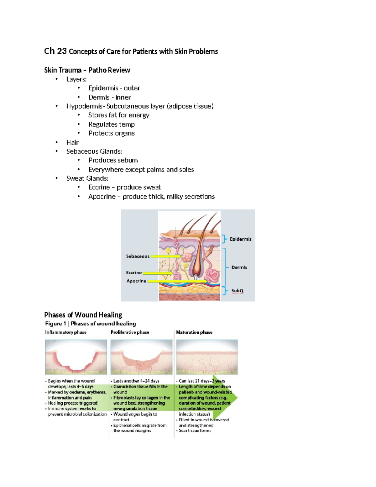 Ch 23 Pts with Skin Problems - Ch 23 Concepts of Care for Patients with ...