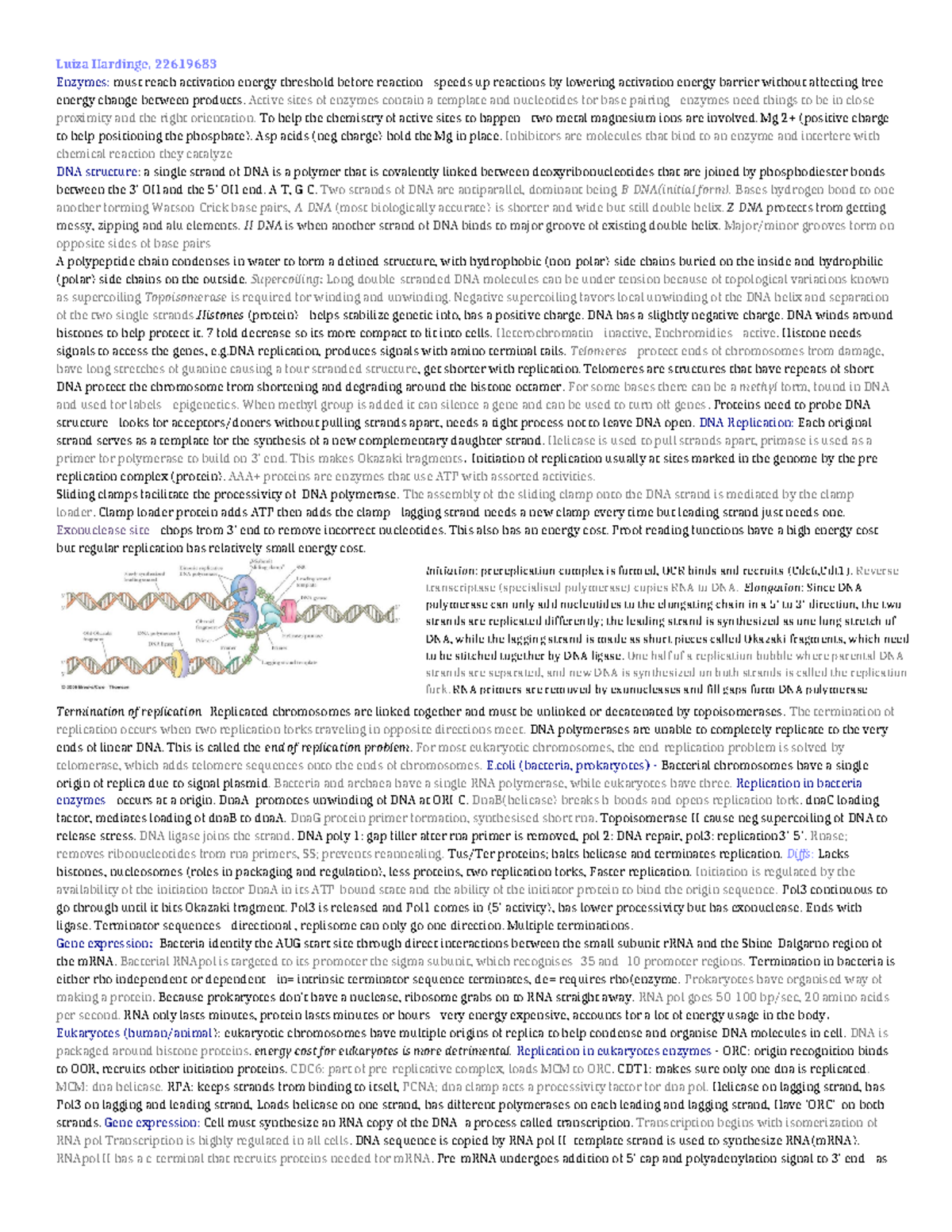 Cheat Sheet for Mid Term - Luiza Hardinge, 22619683 Enzymes: must reach ...