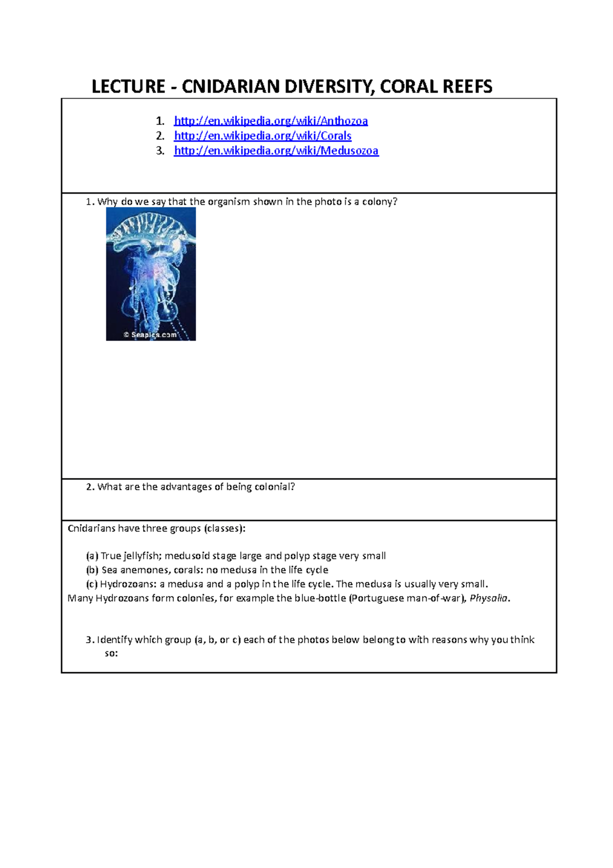 02 Cnidarian Wookbook - LECTURE - CNIDARIAN DIVERSITY, CORAL REEFS 1 ...