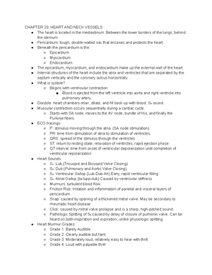 Chapter 10 Vital Signs & Pain - CHAPTER 10 and 11: VITAL SIGNS & PAIN ...