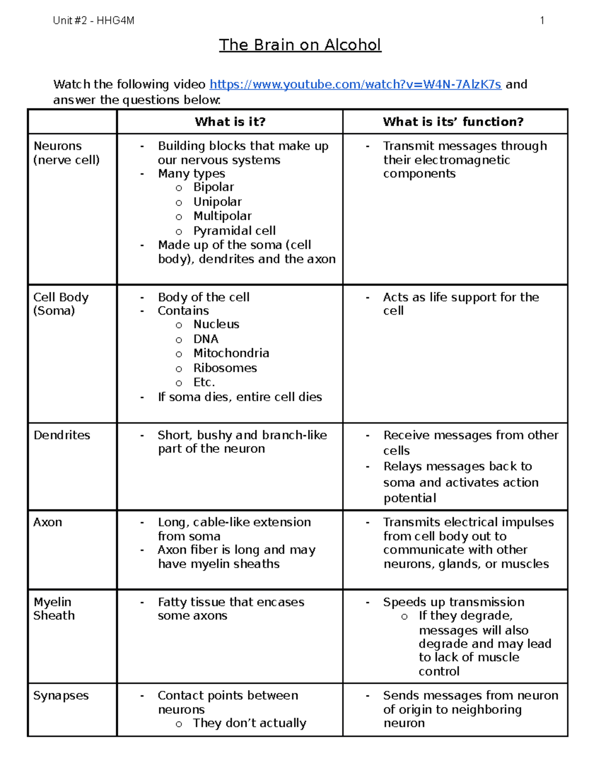 11. The Brain on Alcohol - The Brain on Alcohol Watch the following ...