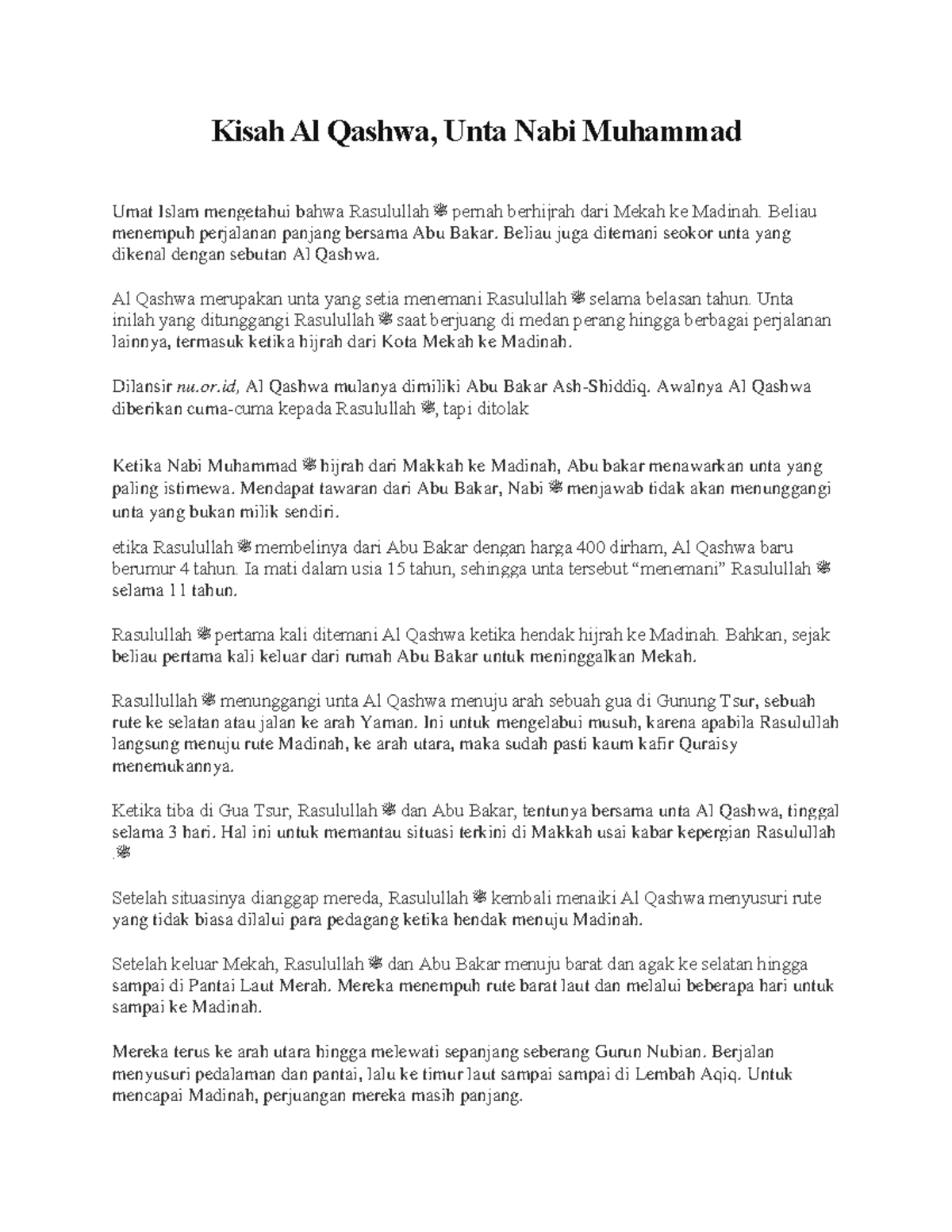 Kisah Unta Al Qashwa - Tugas Agama - Kisah Al Qashwa, Unta Nabi ...