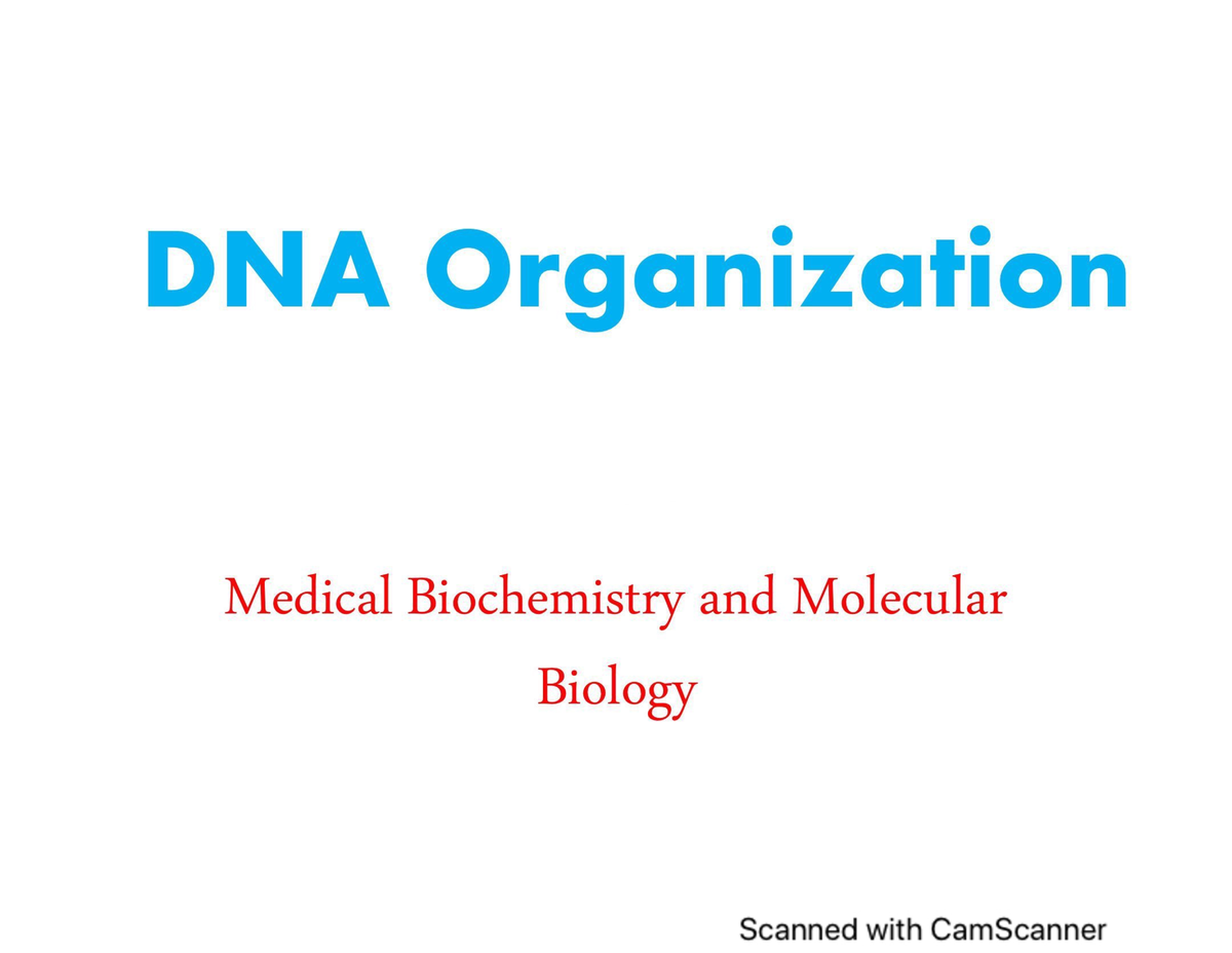 L3 DNA organization - Molecular Biology - Studocu
