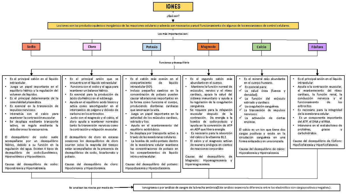 Iones en el organismo humano - Iones Los iones son los productos ...
