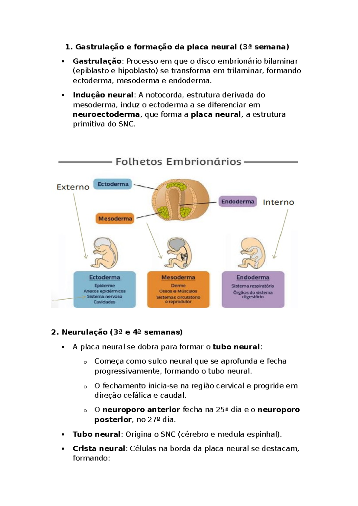 Neuroembriologia - 1. Gastrulação e formação da placa neural (3ª semana ...