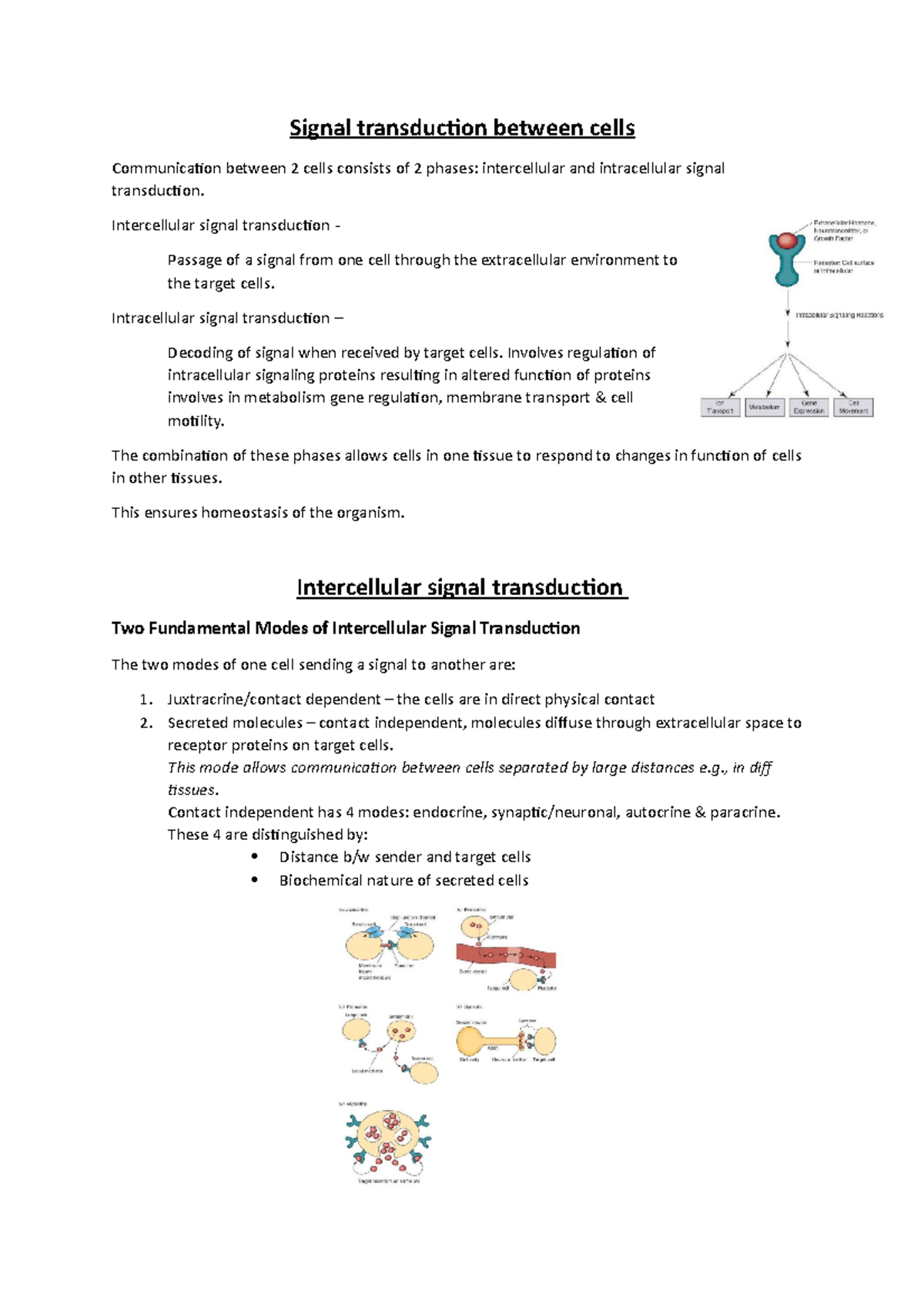 Signal transduction between cells - Signal transduction between cells Communication between 2 ...
