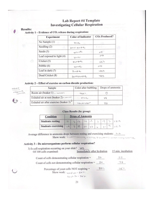 Lab Report #10 First Part - Lab Report DNA Barcoding: Overview for Part ...