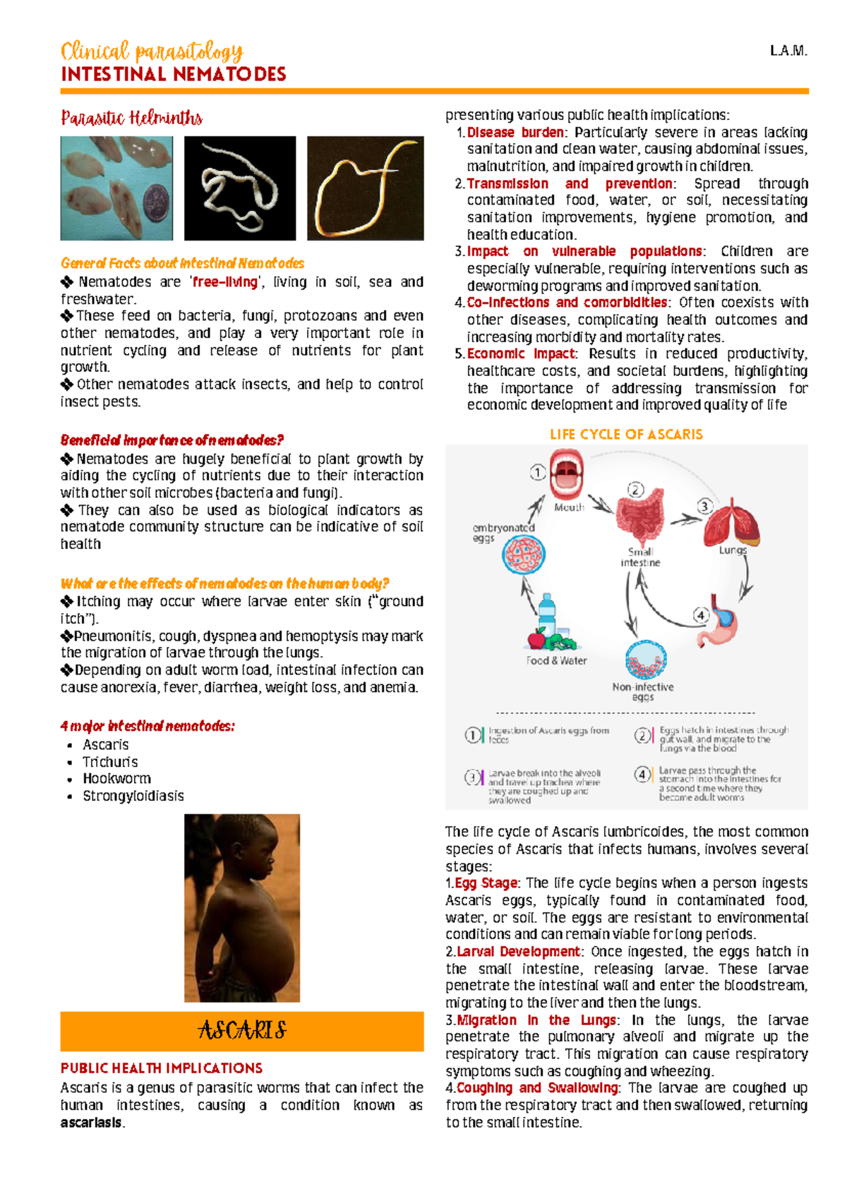 Midterm - Summary BS Medical Technology - ####### life cycle of ascaris ...