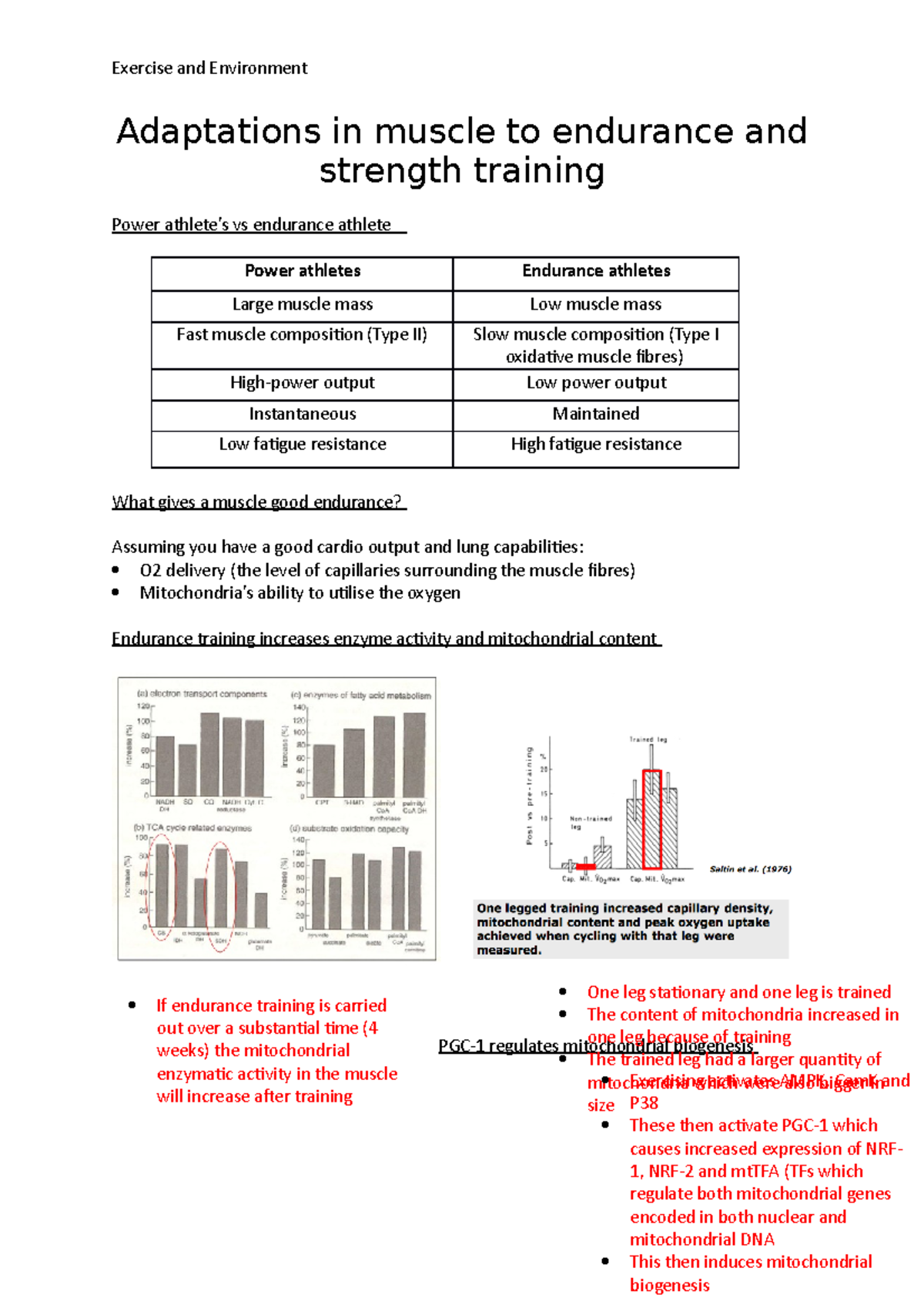 Tissue Pathology-Adaptations in muscle to endurance and strength ...