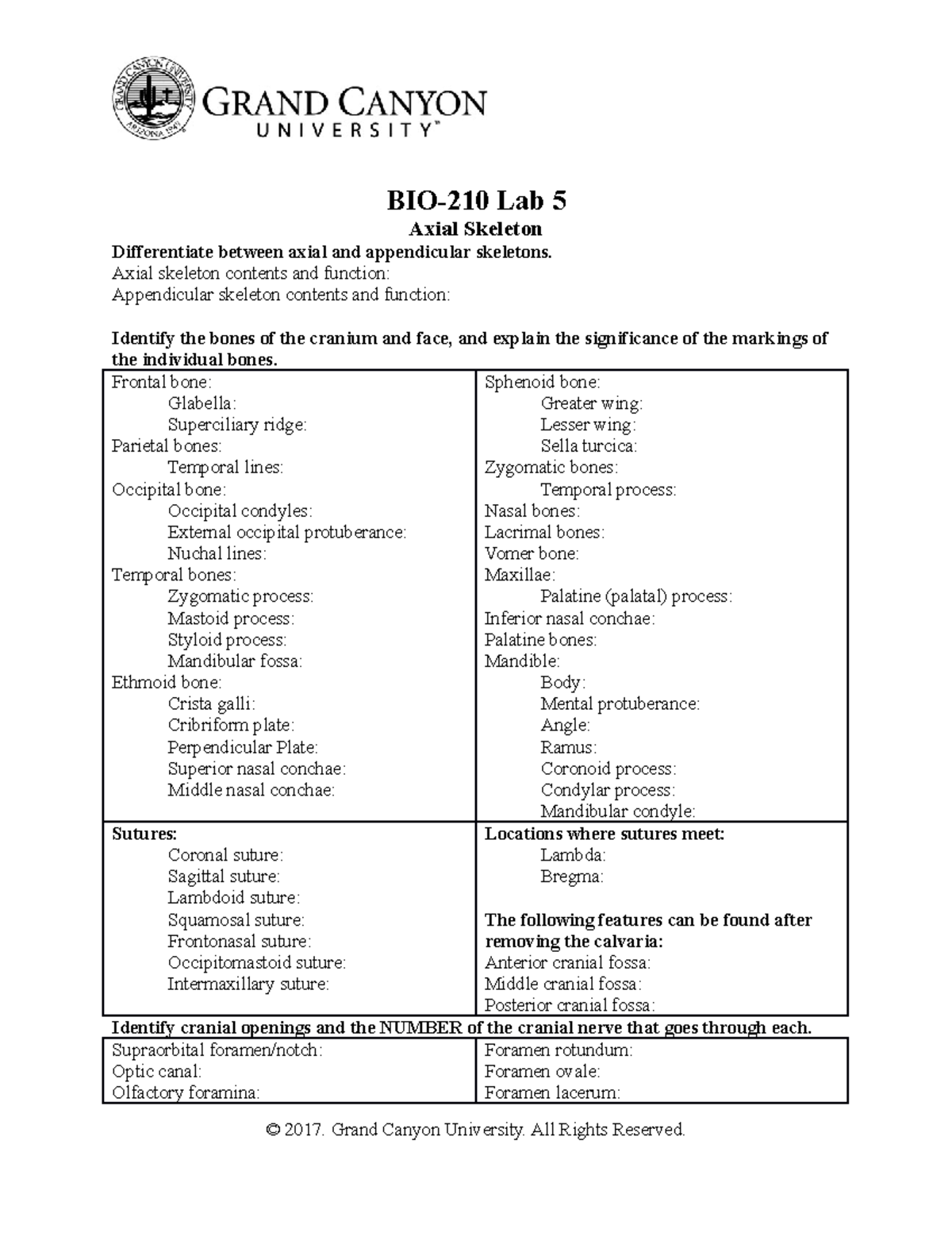 BIO-210L Study Guide Lab5 - BIO-210 Lab 5 Axial Skeleton Differentiate between axial and - Studocu