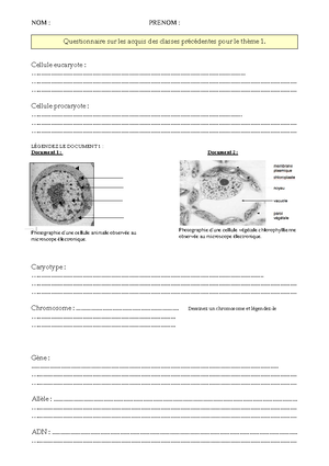 Tp 1 observation microscopique de coupes transversales d ovaire d ...
