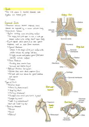 Skeletal System: Axial and Appendicular Skeleton Cartilage and Bones ...