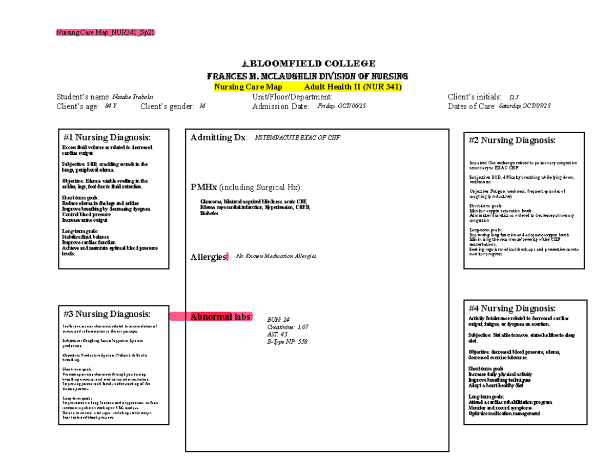 Concept care map final - health assessment - NUR 634 - Nursing Care Map ...