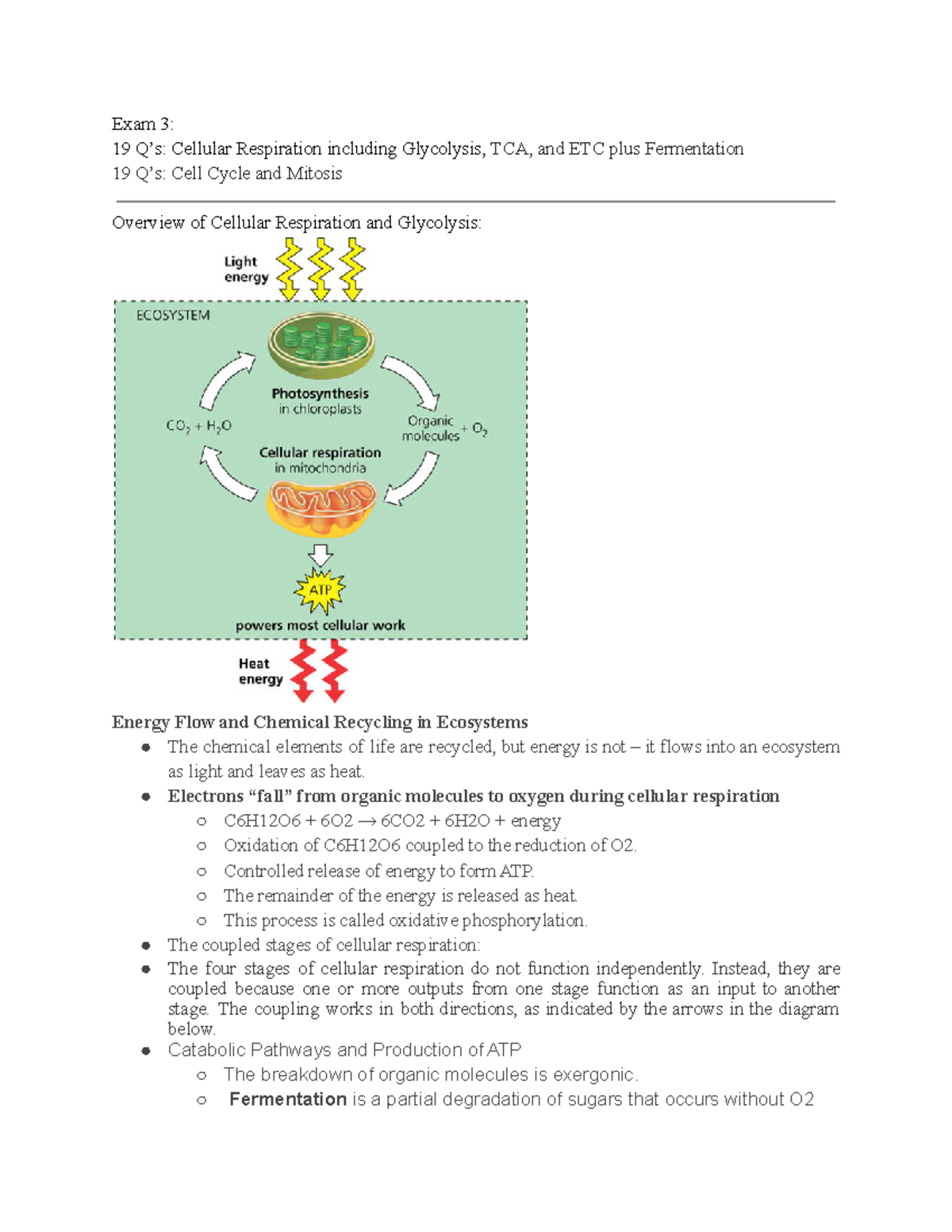 BIO EXAM 3 Ch 7-9 - Notes on Cellular Respiration, including Glycolysis ...