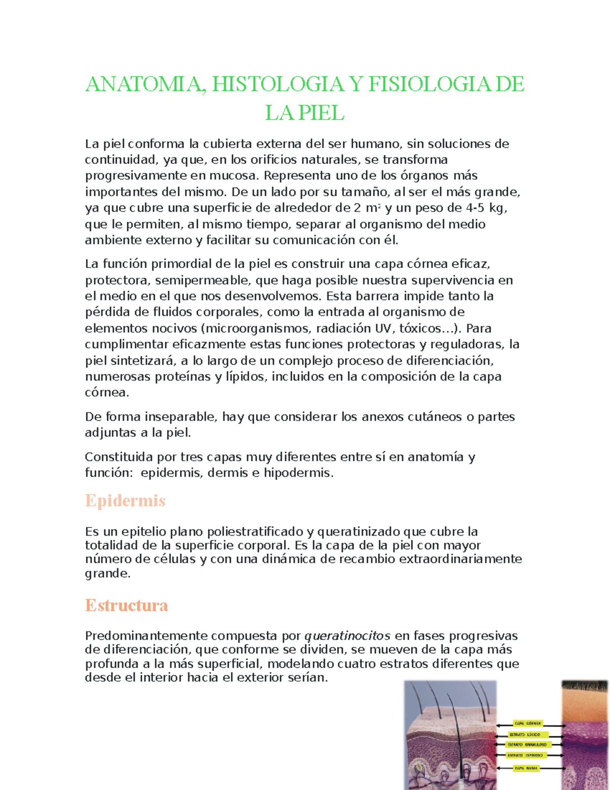 Tegumentos Y Anexos - .,m,m - ANATOMIA, HISTOLOGIA Y FISIOLOGIA DE LA ...