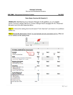 MIS 3000-Sample Finalized Project Idea - A Sample Finalized Project ...
