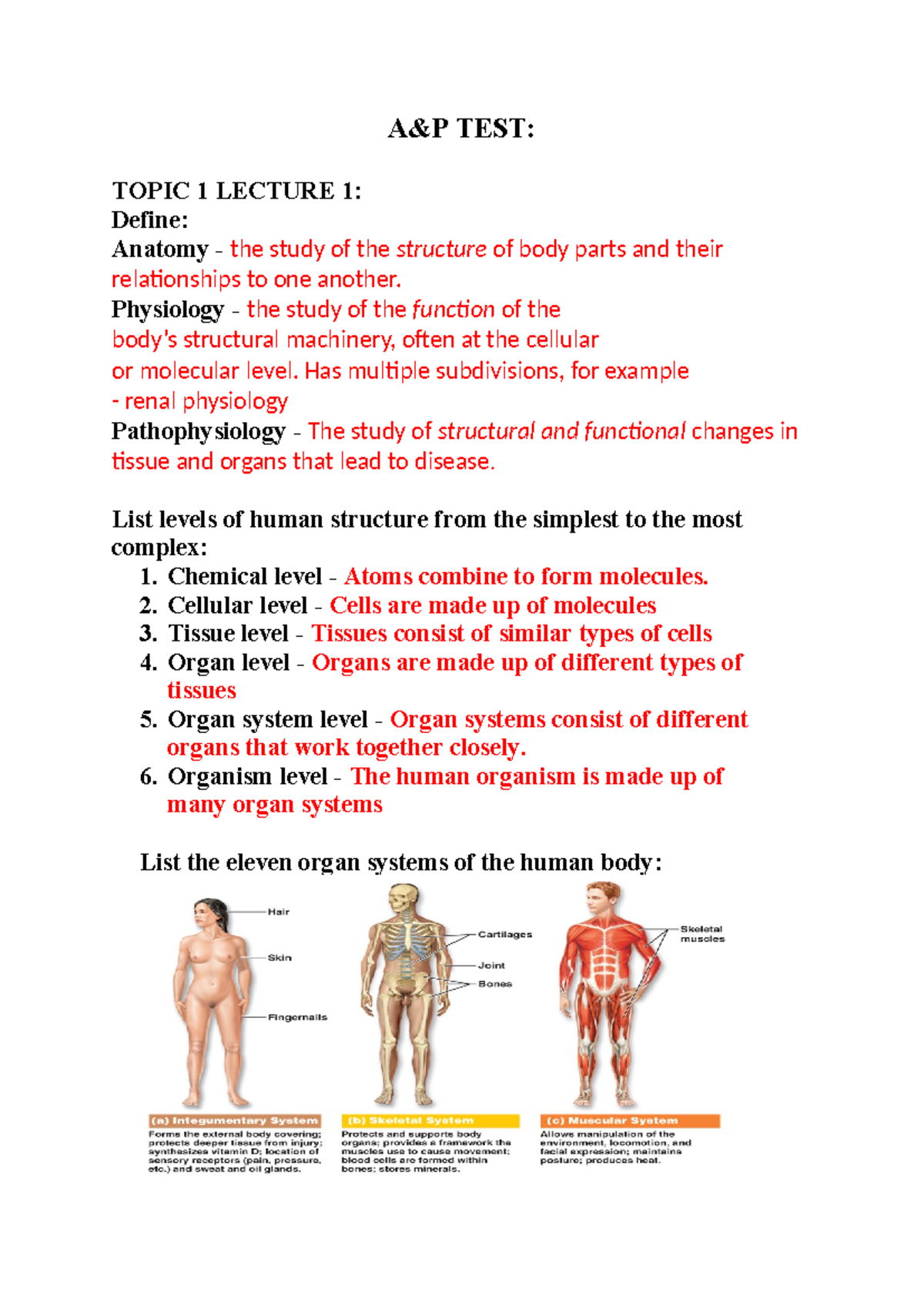 Anatomy and Physiology - A&P TEST: TOPIC 1 LECTURE 1: Define: Anatomy ...