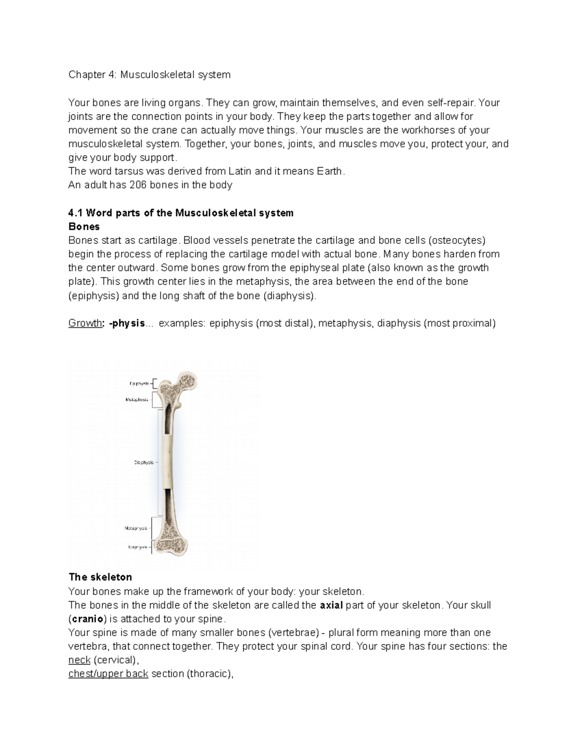 chapter-4-musculoskeletal-system-chapter-4-musculoskeletal-system