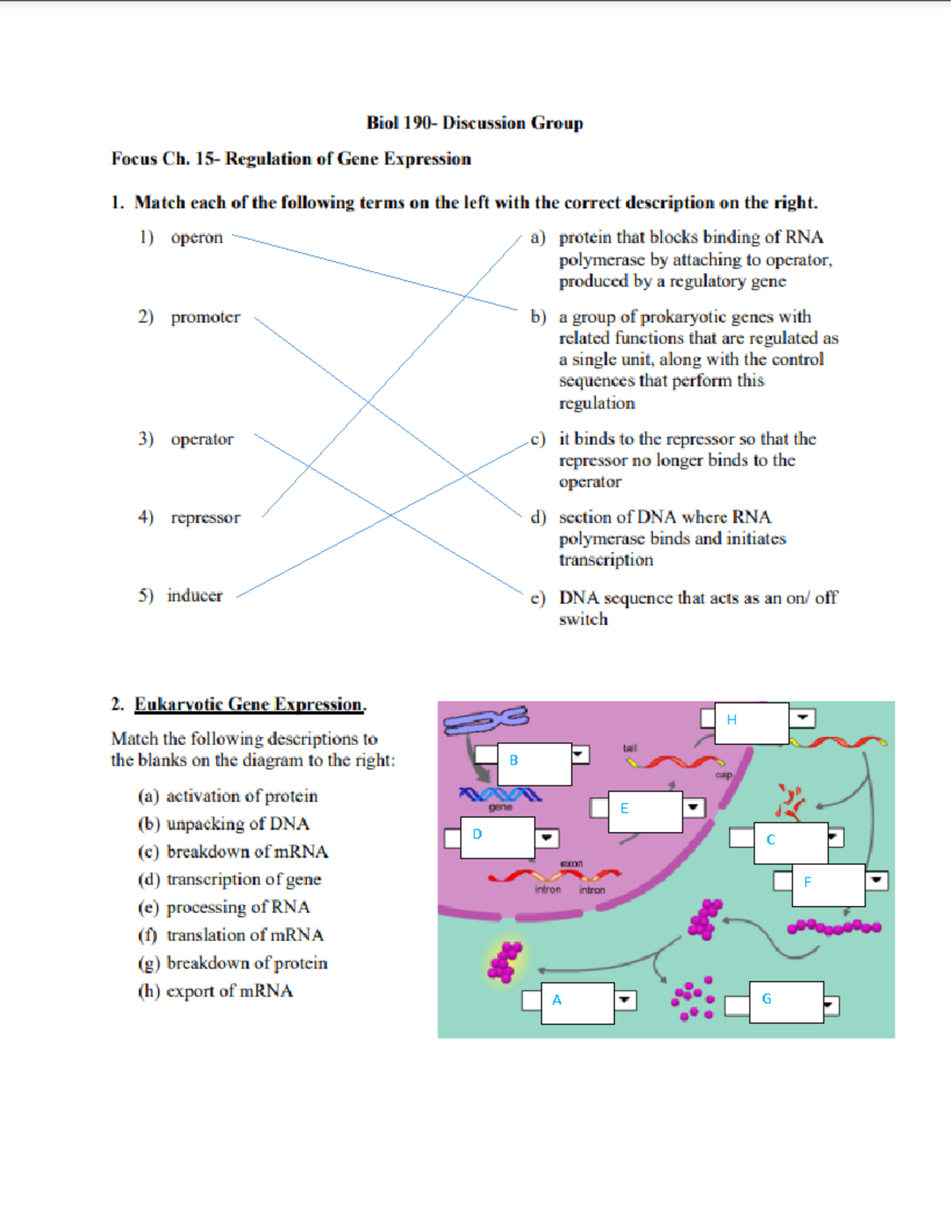 Chapter 15 Worksheet Finished - BIOL 190 - D E H C F G A B - Studocu