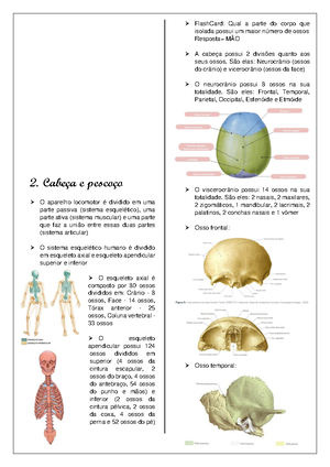 Anamnese e exame especular - Gd 1- Consulta ginecológica e exame ...