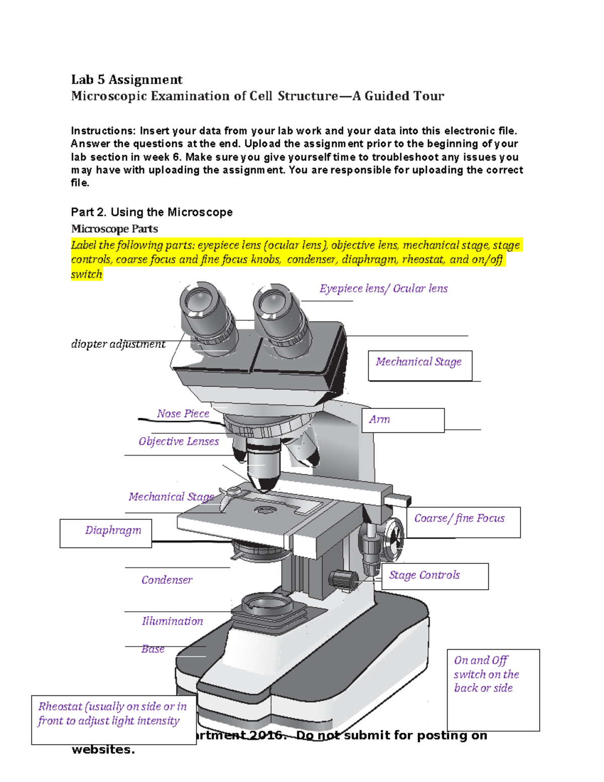 Lab 5 Assignment - Lab 5 Assignment Microscopic Examination of Cell Structure—A Guided Tour ...