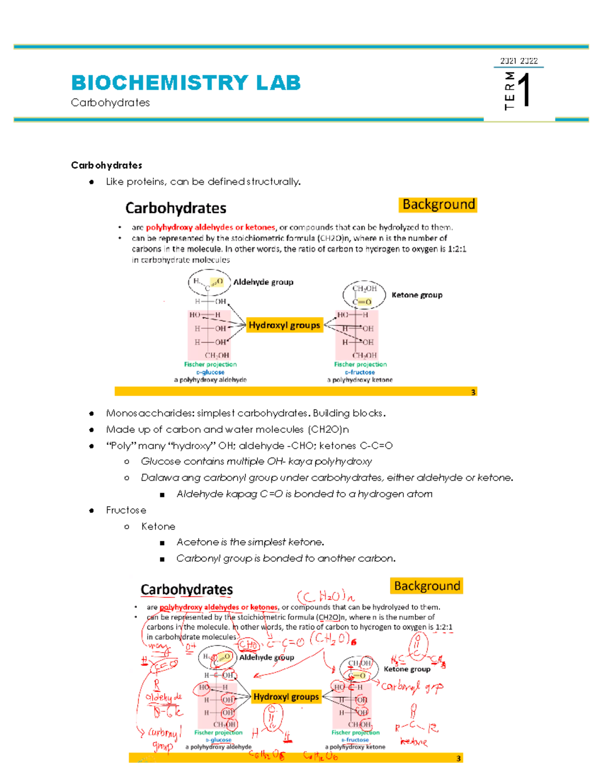 Carbohydrates - This well-organized document consists of images and ...