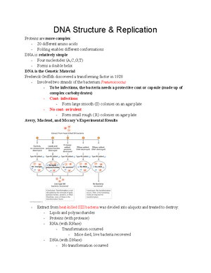 Introduction to Genetics Lecture Notes (Yonan) - BIOL 300 - Studocu