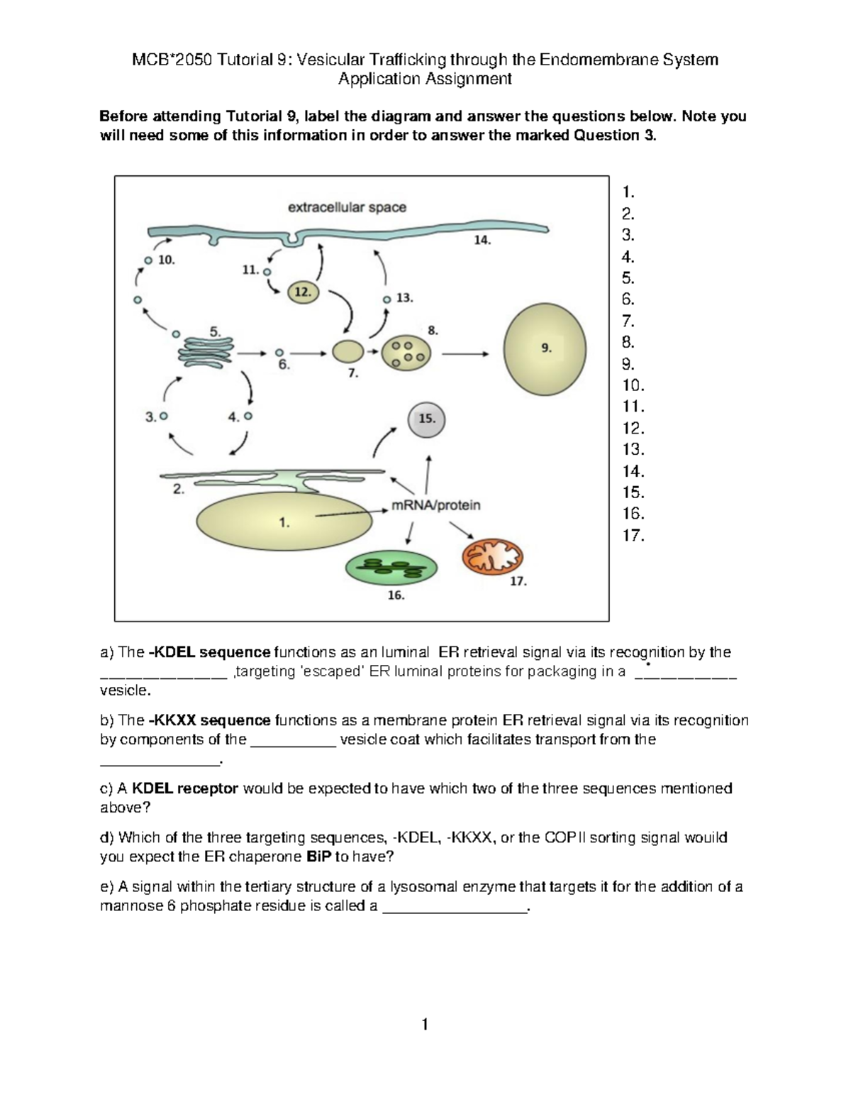 2050 F20 T9 Student - Vesicular trafficking - MCB 2050 - U of G - Studocu