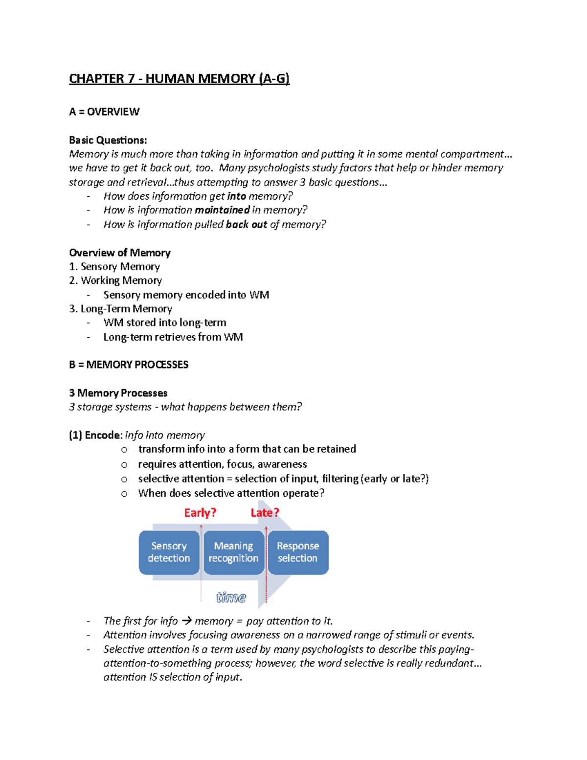 Lecture 7 Human Memory - CHAPTER 7 - HUMAN MEMORY (A-G) A = OVERVIEW ...