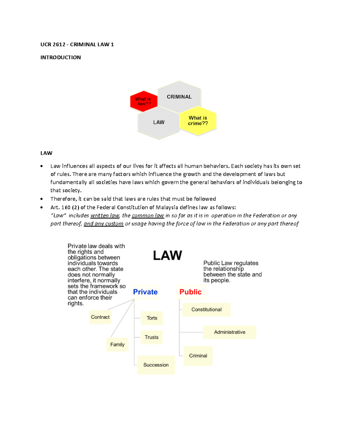 Introduction - USE IT WITH CAUTION - UCR 2612 - CRIMINAL LAW 1 ...