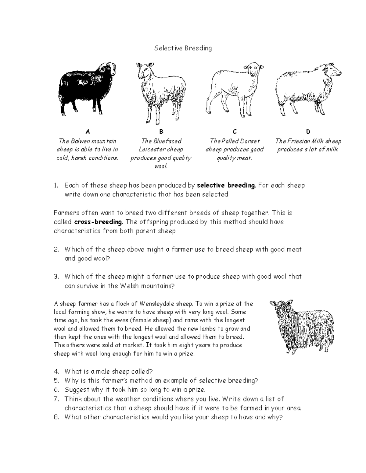 Selective Breeding Sheep L5 7 - Science Technology and Society - Studocu
