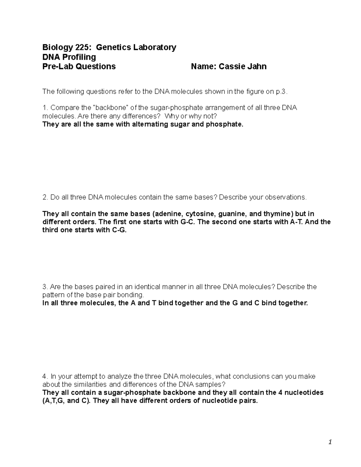 DNA Profiling Pre-Lab - Dr. Baker - Biology 225: Genetics Laboratory ...
