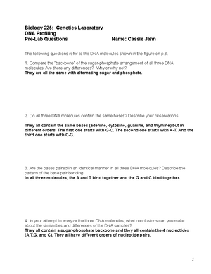 Bacterial Transformation Post-Lab - Biology 225: Genetics Laboratory ...