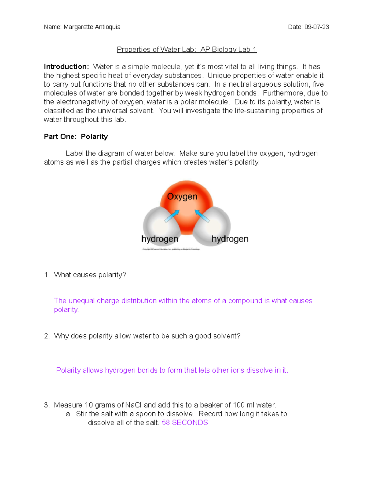 Water Lab - It has the highest specific heat of everyday substances ...