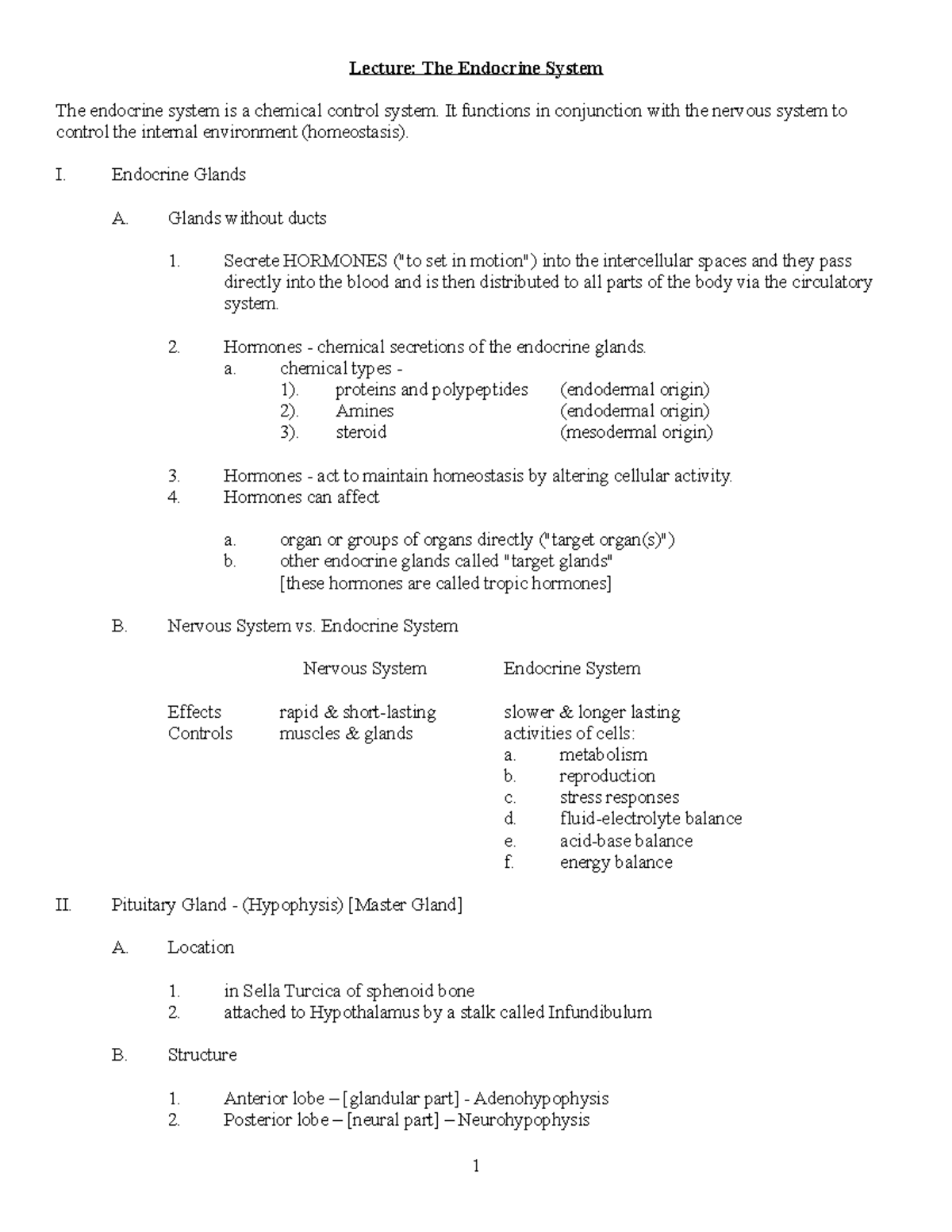 Endocrine-Lecture physiology - Lecture: The Endocrine System The ...