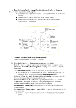 Banco de preguntas Sistema Respiratorio - 1 SISTEMA RESPIRATORIO ...