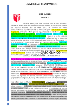 GUIA DE Cuidado- Higiene Perineal - Programa de Estudios/Programa ...