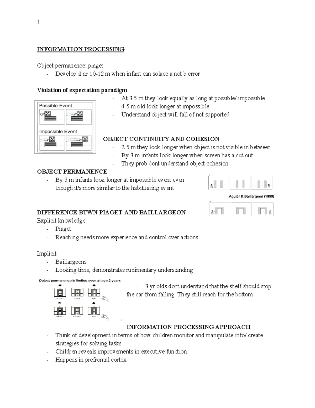 Child devel lect notes - INFORMATION PROCESSING Object permanence ...