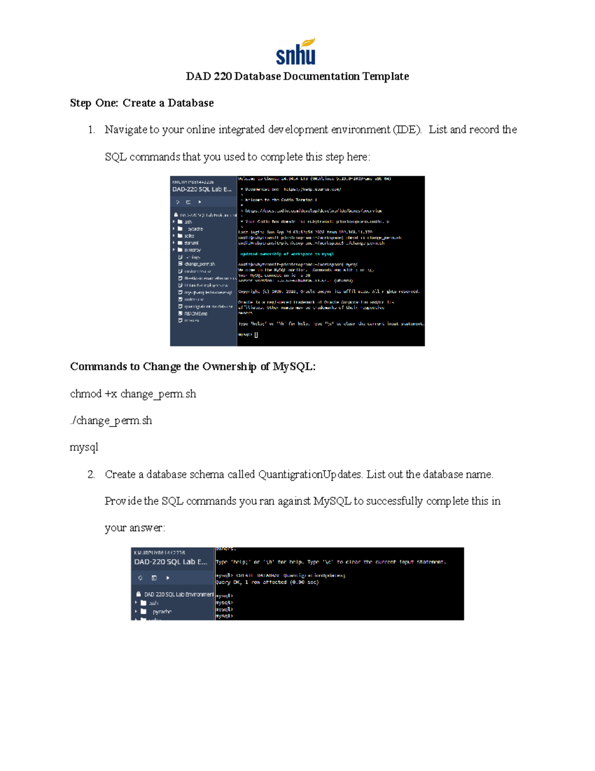 DAD 220 Database Documentation Template Murphy - DAD 220 Database Documentation Template Step ...