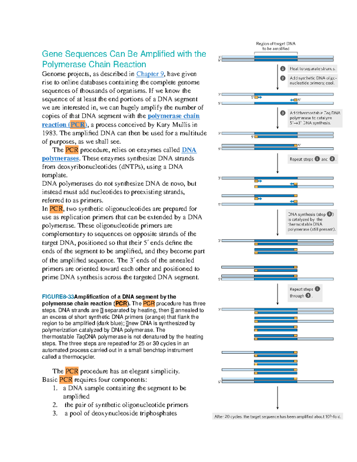 Sequencing notes - Gene Sequences Can Be Amplified with the Polymerase ...