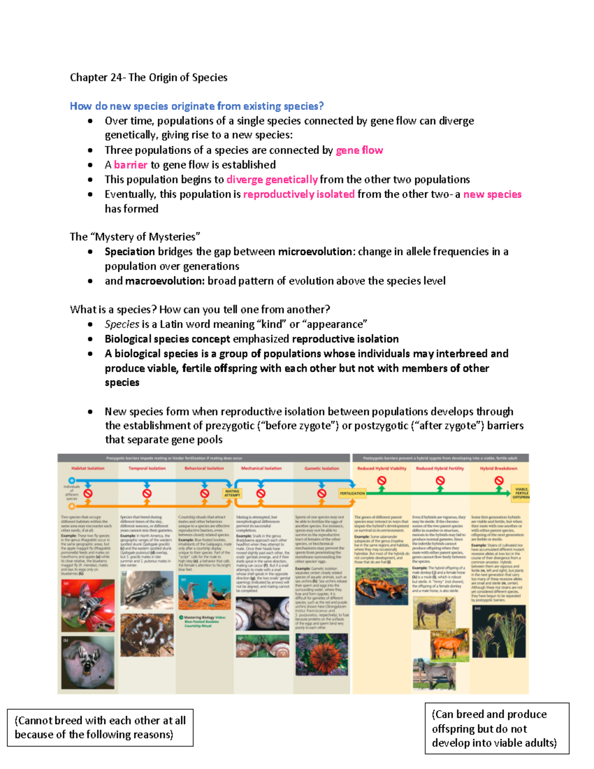 Bio 1306 chapter 24 notes - Chapter 24- The Origin of Species How do ...