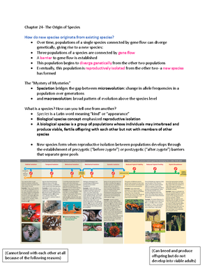 Bio chapter 32- Overview of Animal Diversity - Chapter 32- Overview of ...
