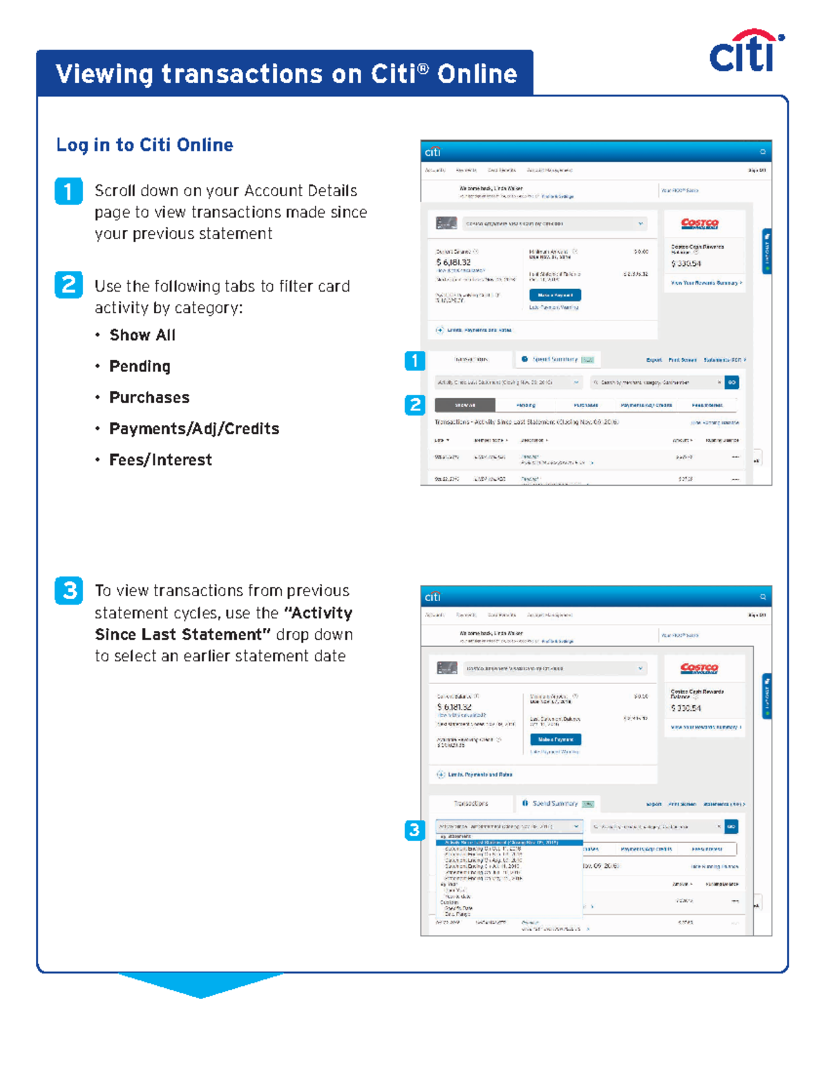 Transactions Statements Tutorial Final - Log in to Citi Online Scroll ...