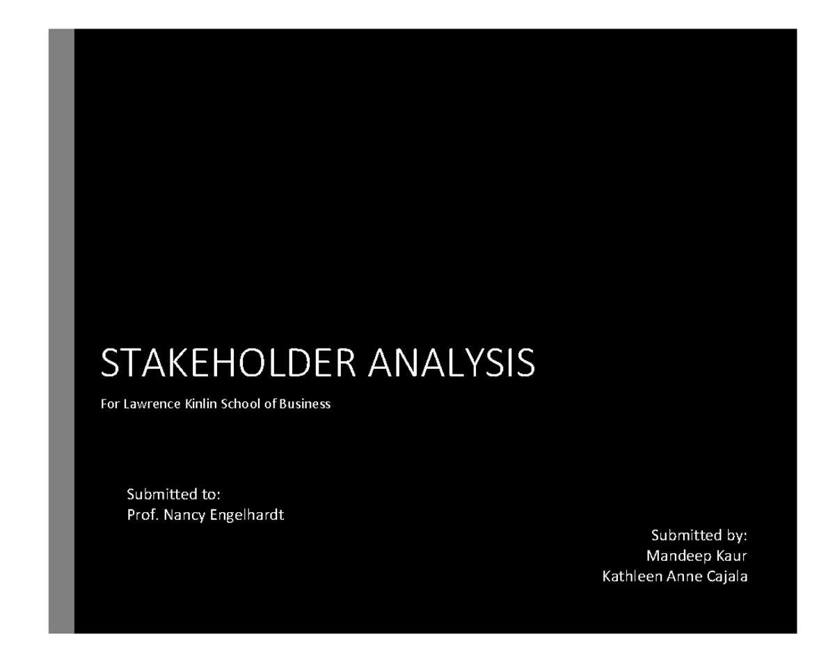 Stakeholder Analysis Assignment final - STAKEHOLDER ANALYSIS For ...
