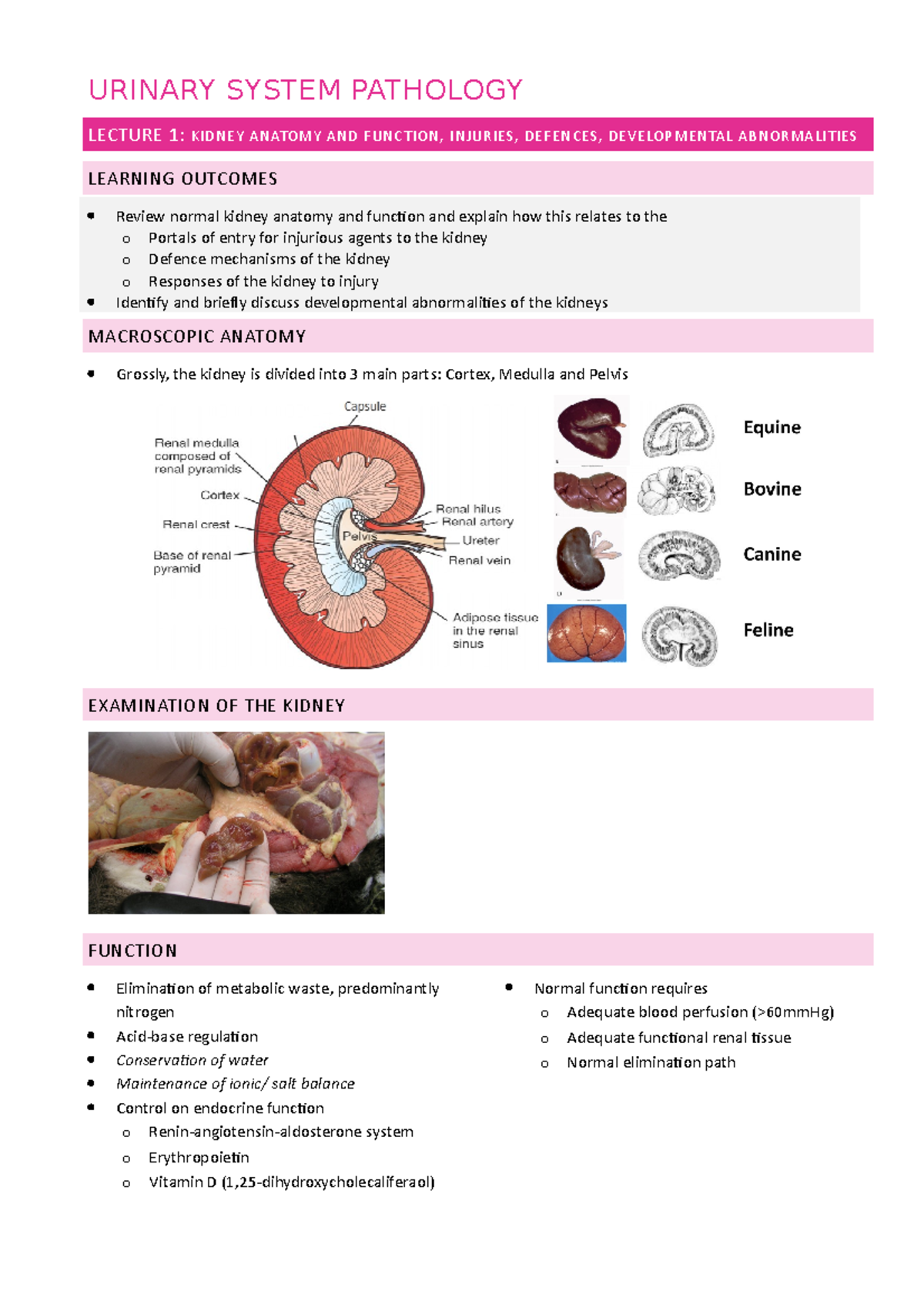 Pathology Notes - Dr Jim Taylor, Dr Tessa Mackie, Dr Linda Hayes ...