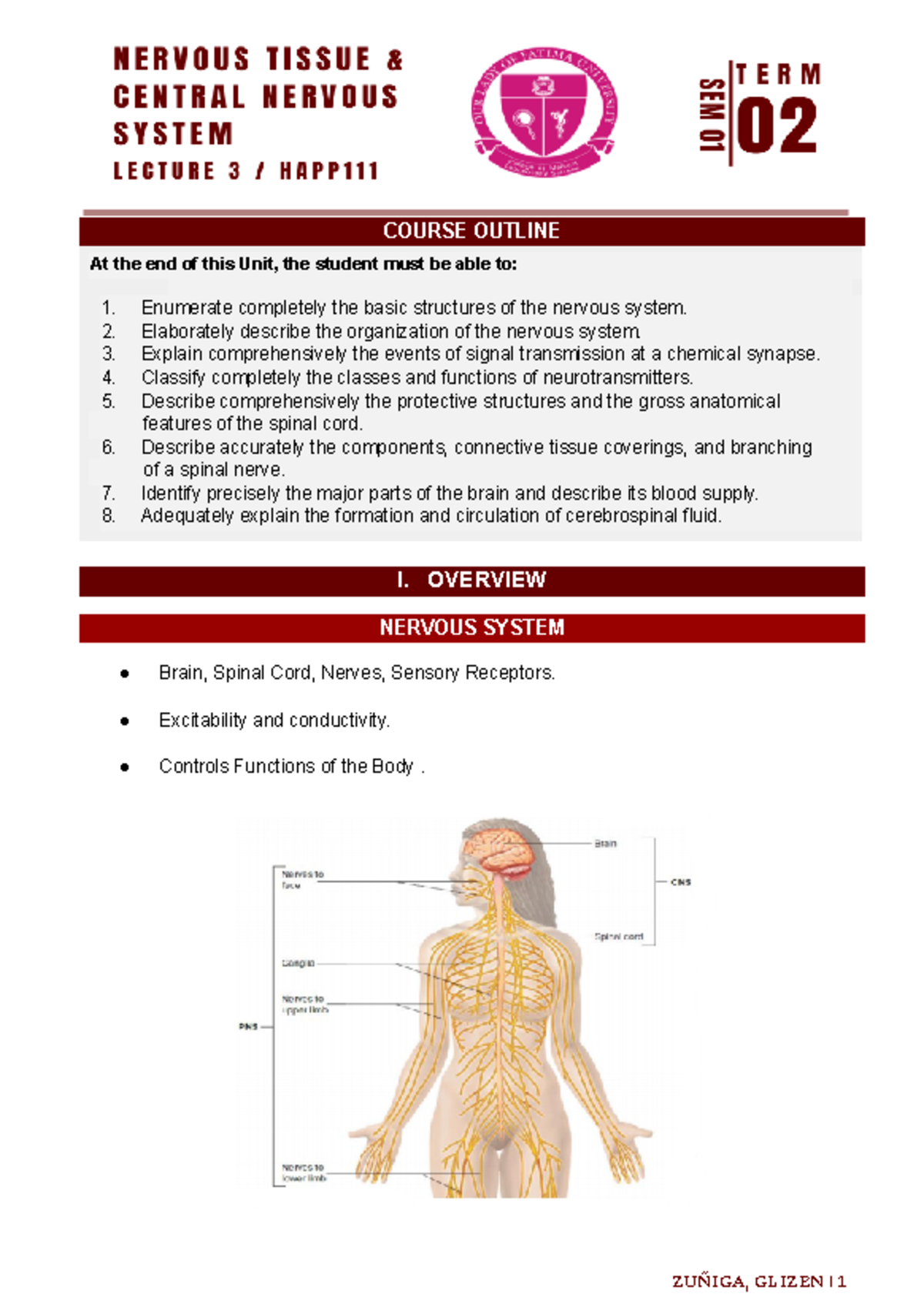 Lecture 3 Nervous Tissue And Central Nervous System Course Outline At The End Of This Unit