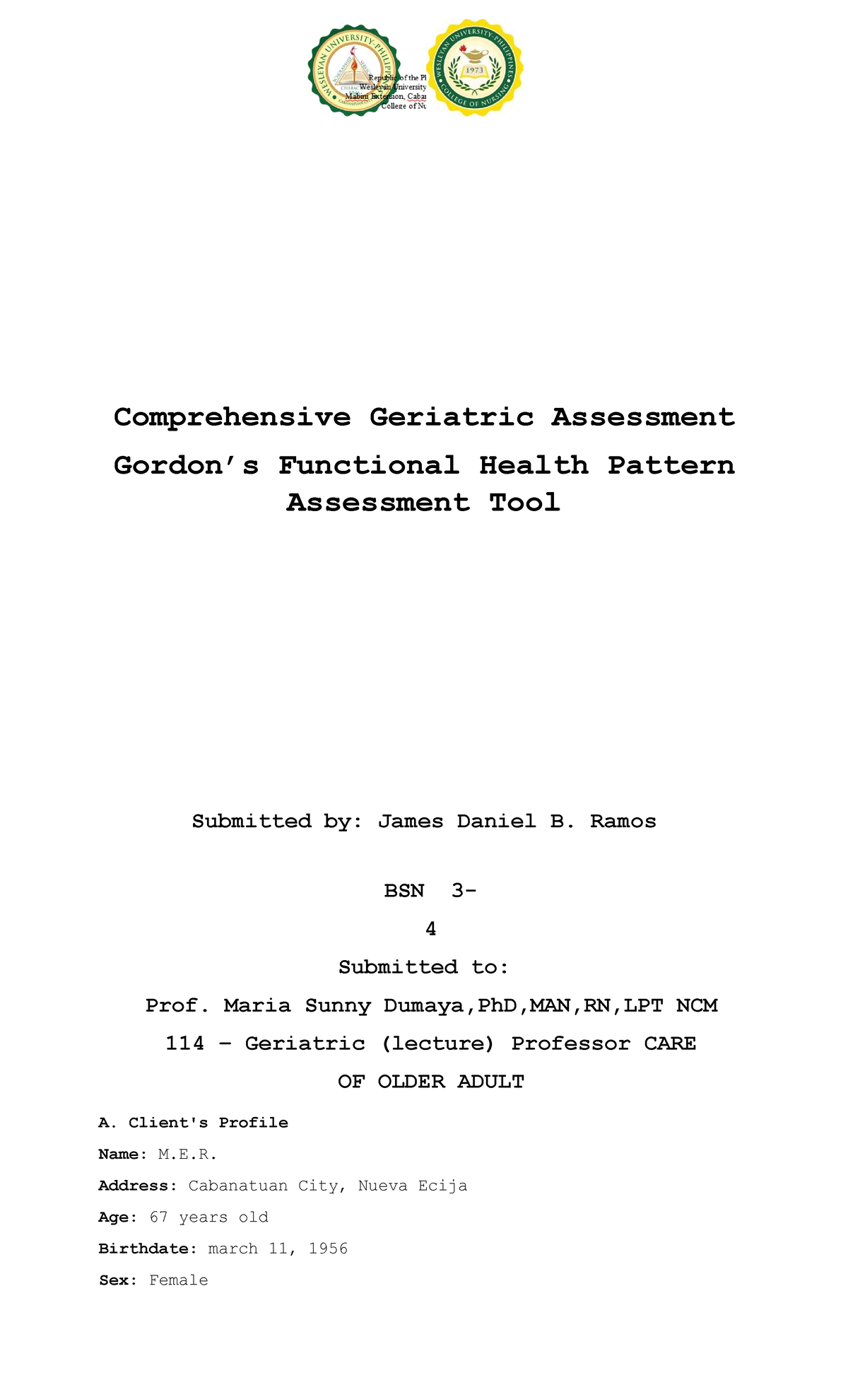 Gordon Assessment tool( JD Ramos) - Comprehensive Geriatric Assessment ...
